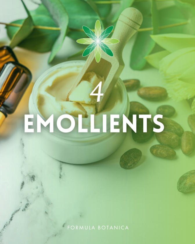 Natural formulation 101: Beginner's guide to skincare ingredients